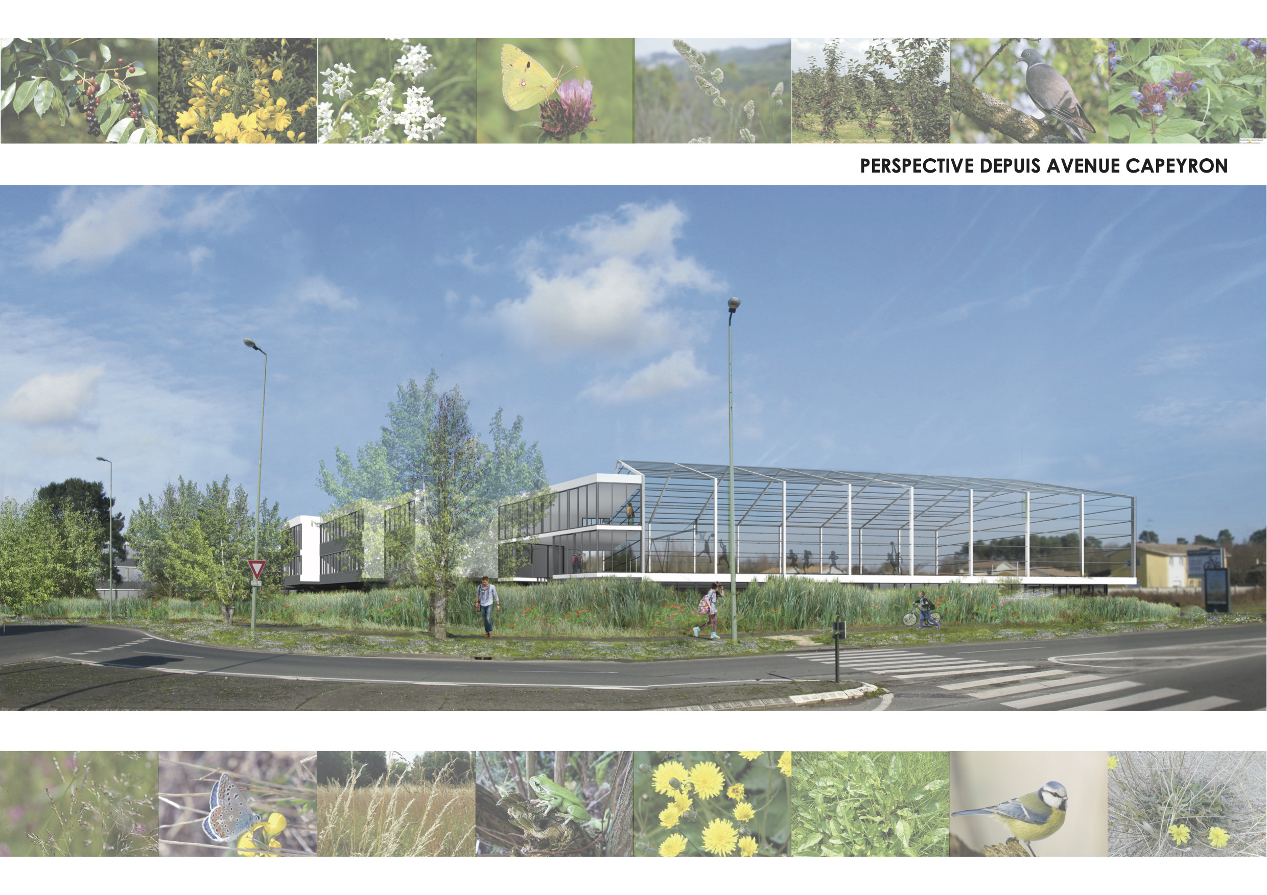 École et collège à Saint-Médard-en-Jalles — Christophe Hutin Architecture